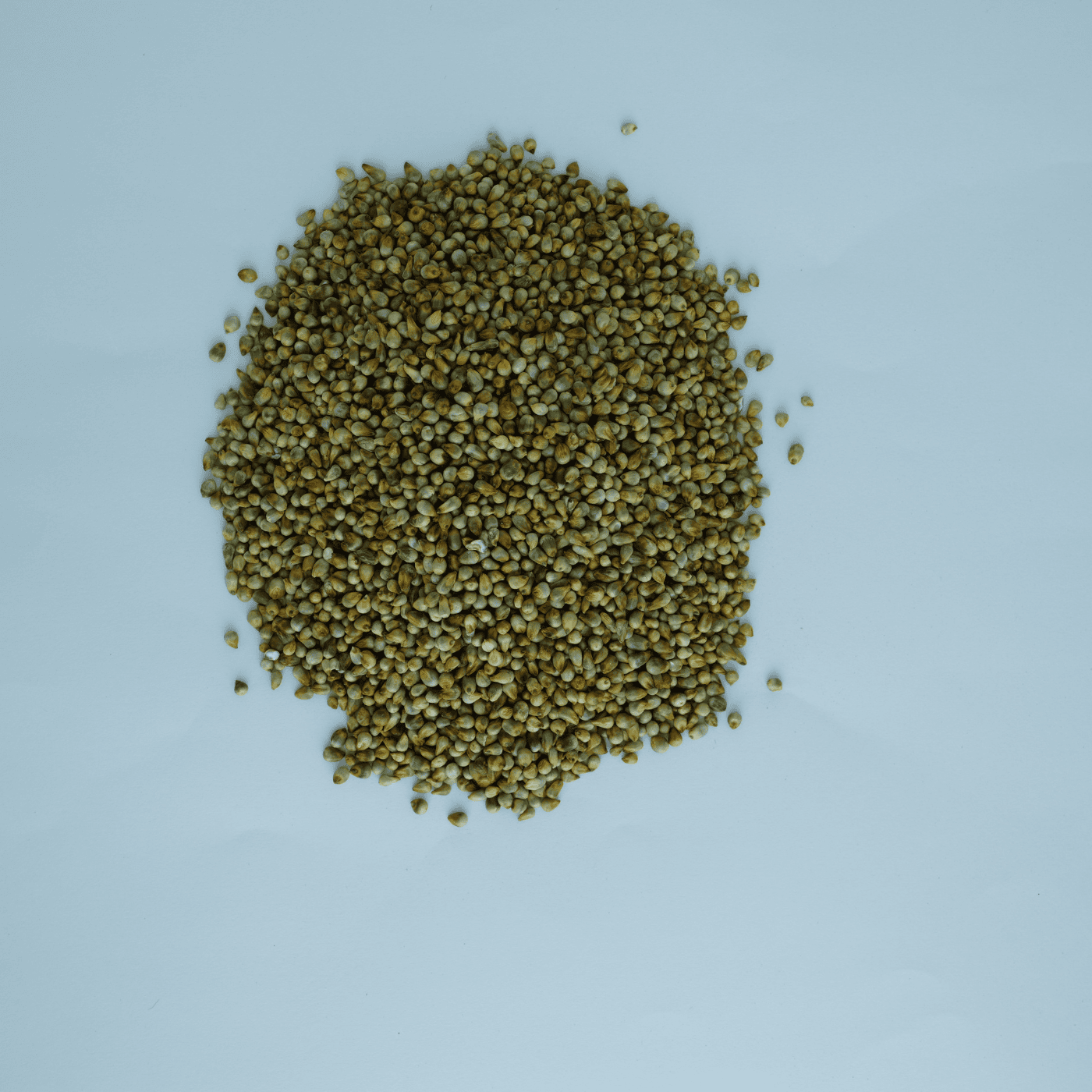 Bajra 10kg (Malek Aalaf)