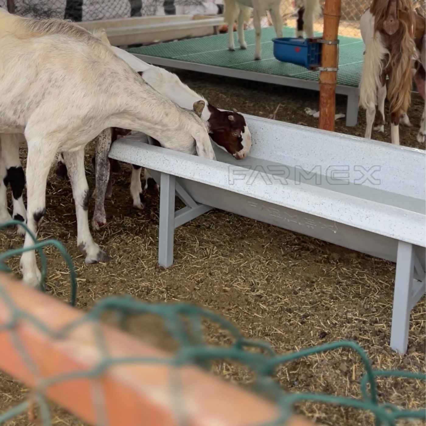 Farmex Drinker Trough 110L 40CM